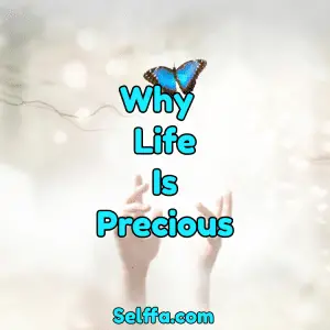 Why Life Is Precious - SELFFA