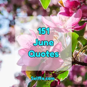 151 June Quotes - SELFFA