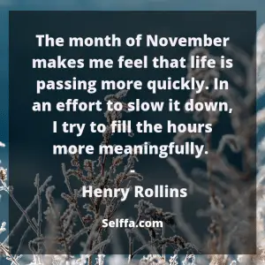 85 November Quotes and Sayings - SELFFA