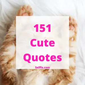 151 Cute Quotes and Sayings - SELFFA