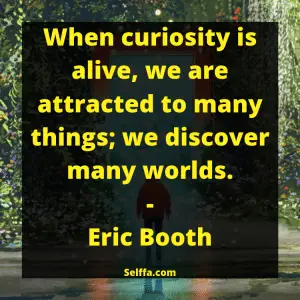 148 Curiosity Quotes and Sayings - SELFFA