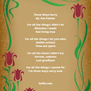 28 Jsem Sorry Poems | Aranjuez