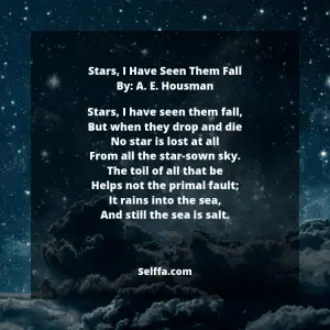 28 Poems About Stars - SELFFA