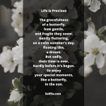 26 Poems About Struggles - SELFFA