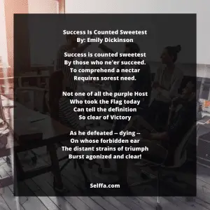 29 Success Poems - SELFFA