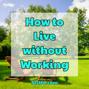 How to Live without Working - SELFFA