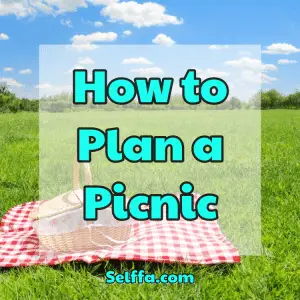 How to Plan a Picnic - SELFFA