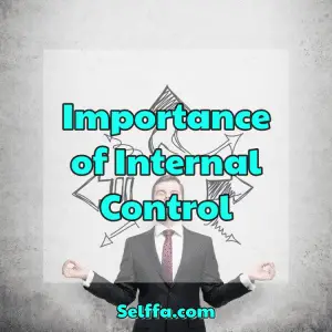 Importance of Internal Control - SELFFA