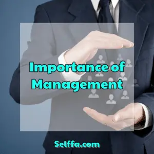 Importance of Management - SELFFA