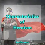 Characteristics of Heroism - SELFFA